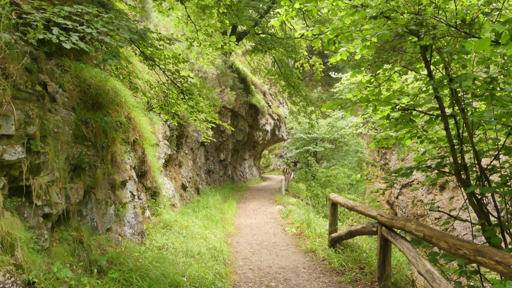 Parque Natural de Redes - eXploraTronics
